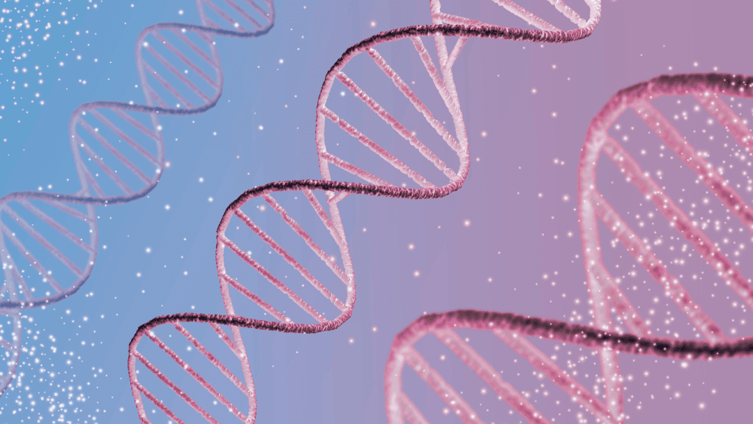 Συναισθήματα, Πεποιθήσεις και DNA - Psychotherapia